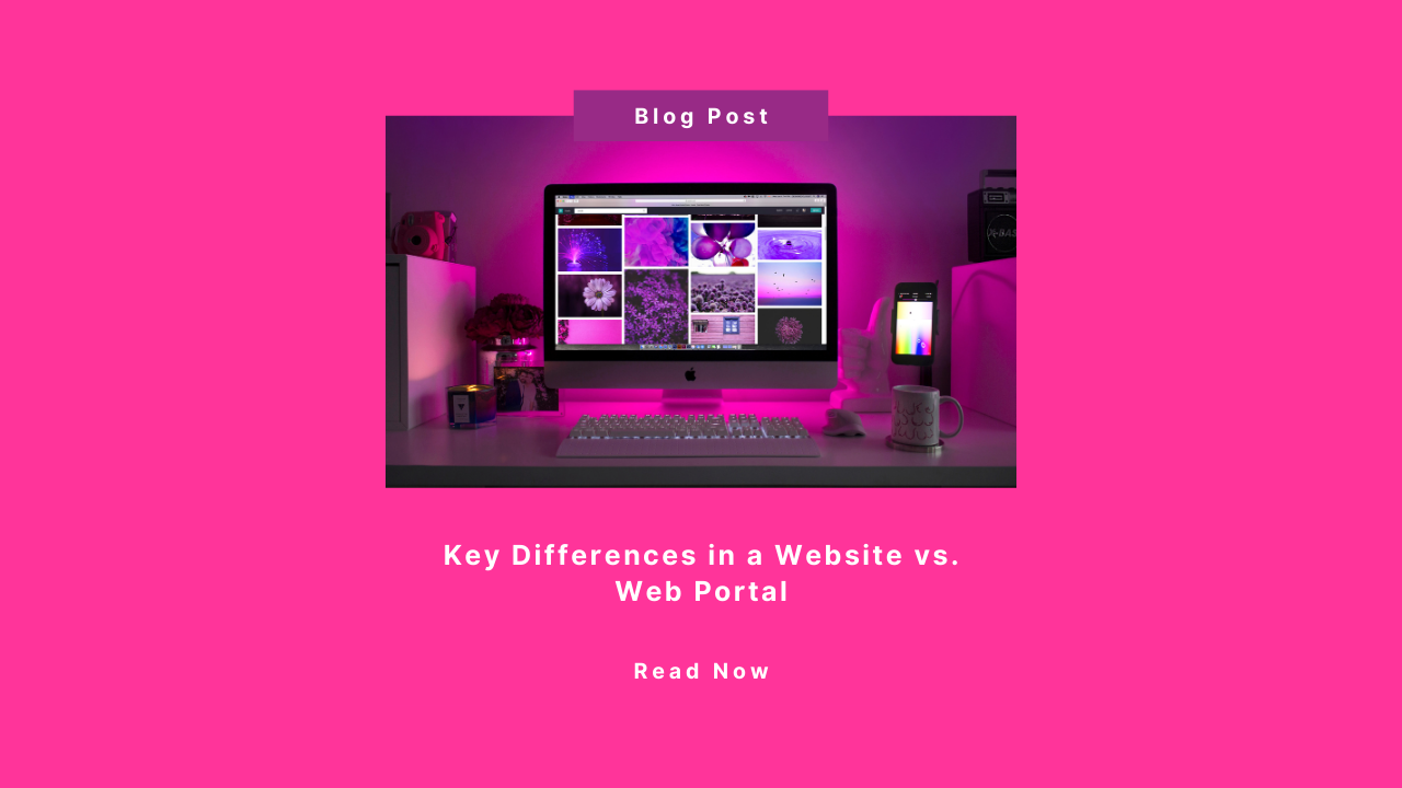 Website vs Web Portal: Key Differences Explained | Knack
