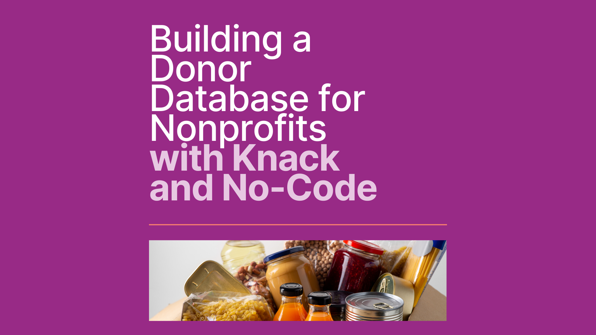 Building a Donor Database for Nonprofits with Knack and No-Code
