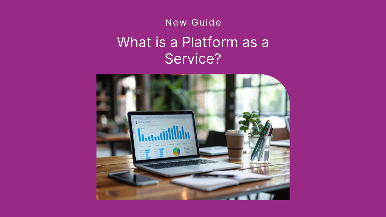 What is a Platform as a Service? (Guide) - Knack