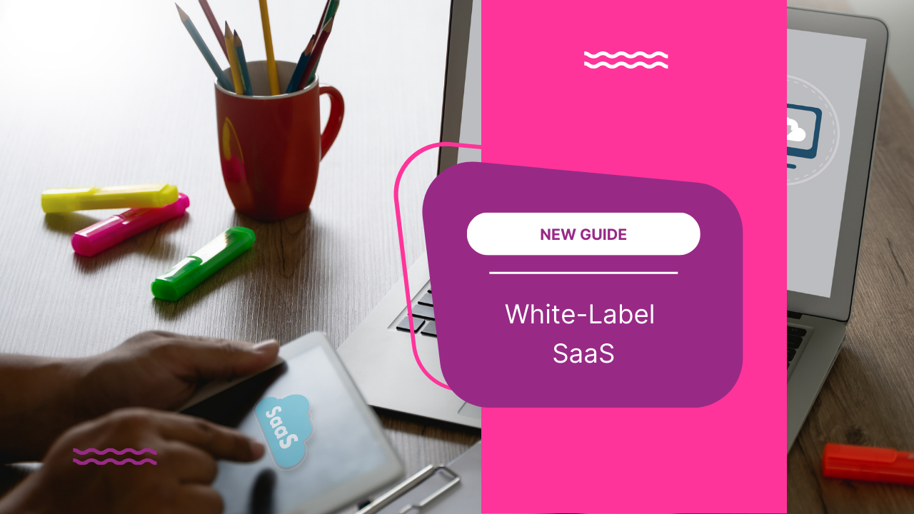 White Label SaaS: Complete Guide - Knack